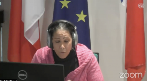 WANDA DIAZ MERCED AT THE UNITED NATIONS – IDWGS2022 - Virgo